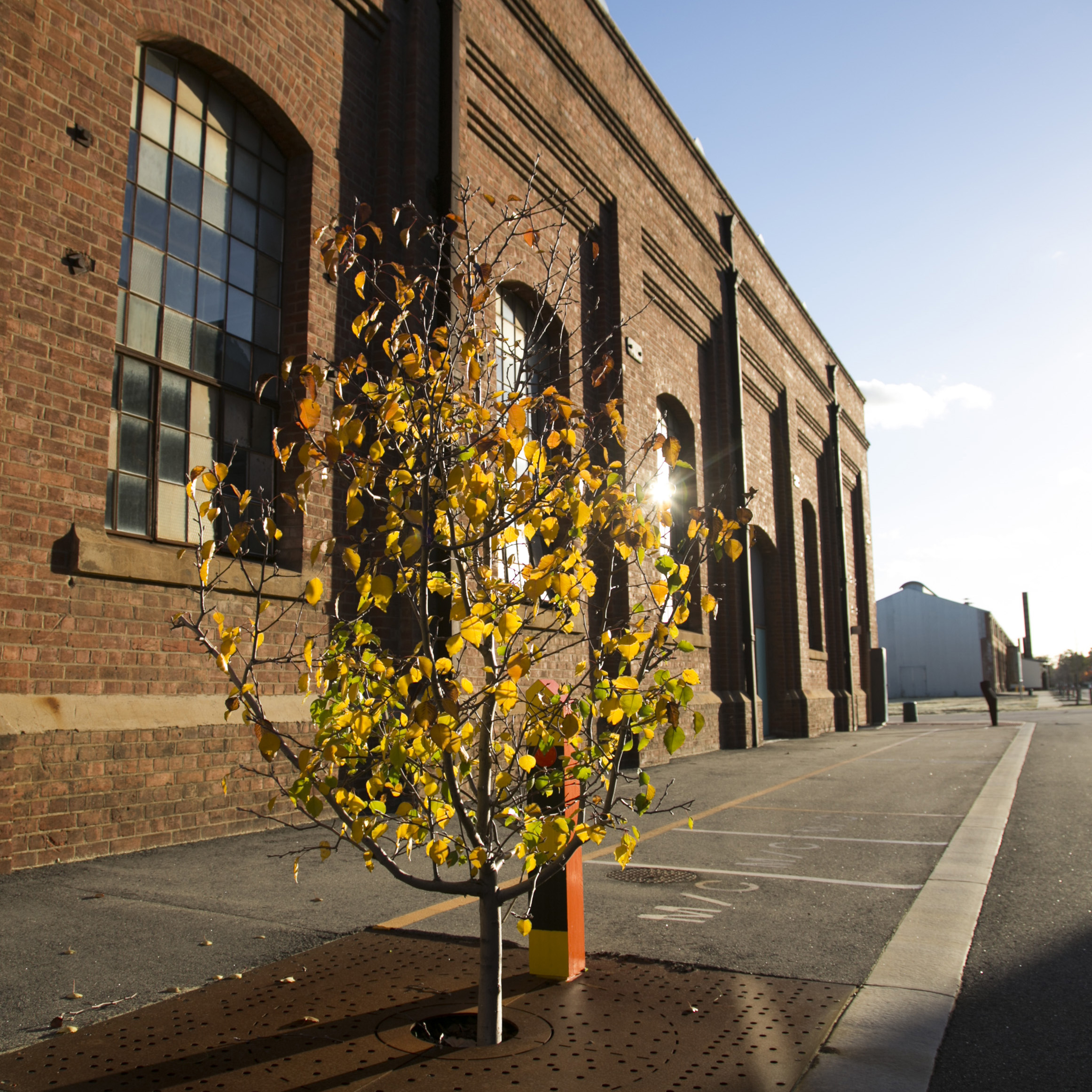 Urban Design Project Experience